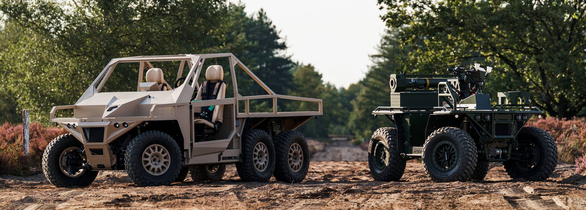 Hermelin | Rheinmetall